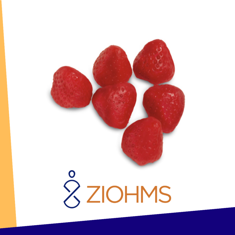 Kit Réplica Músculo y Grasa 1 Lbra – Ziohms Equipos Médicos Y Equipos ...